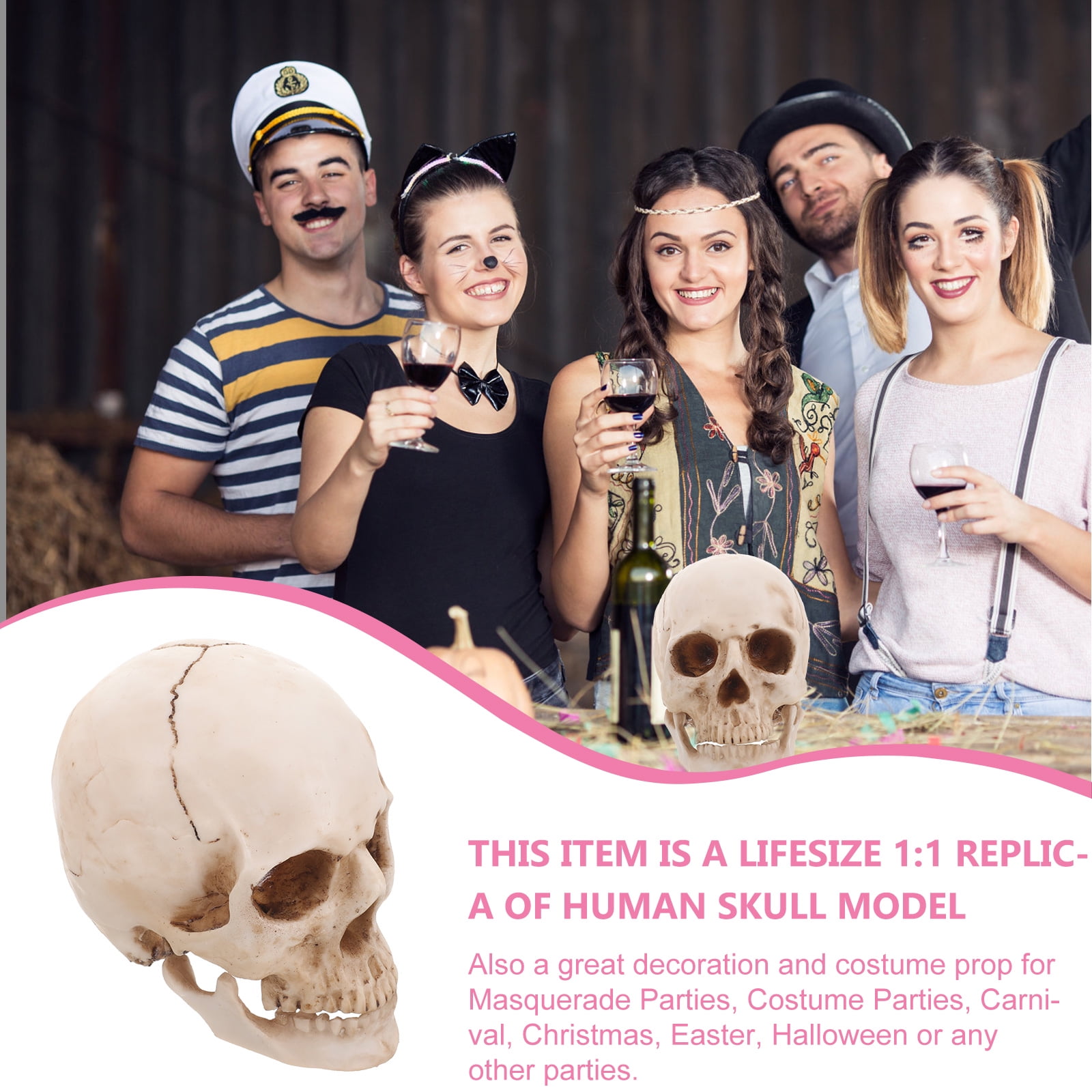 Baluue Simulation Resin Lifesize 1:1 Human Skull Model Medical ...