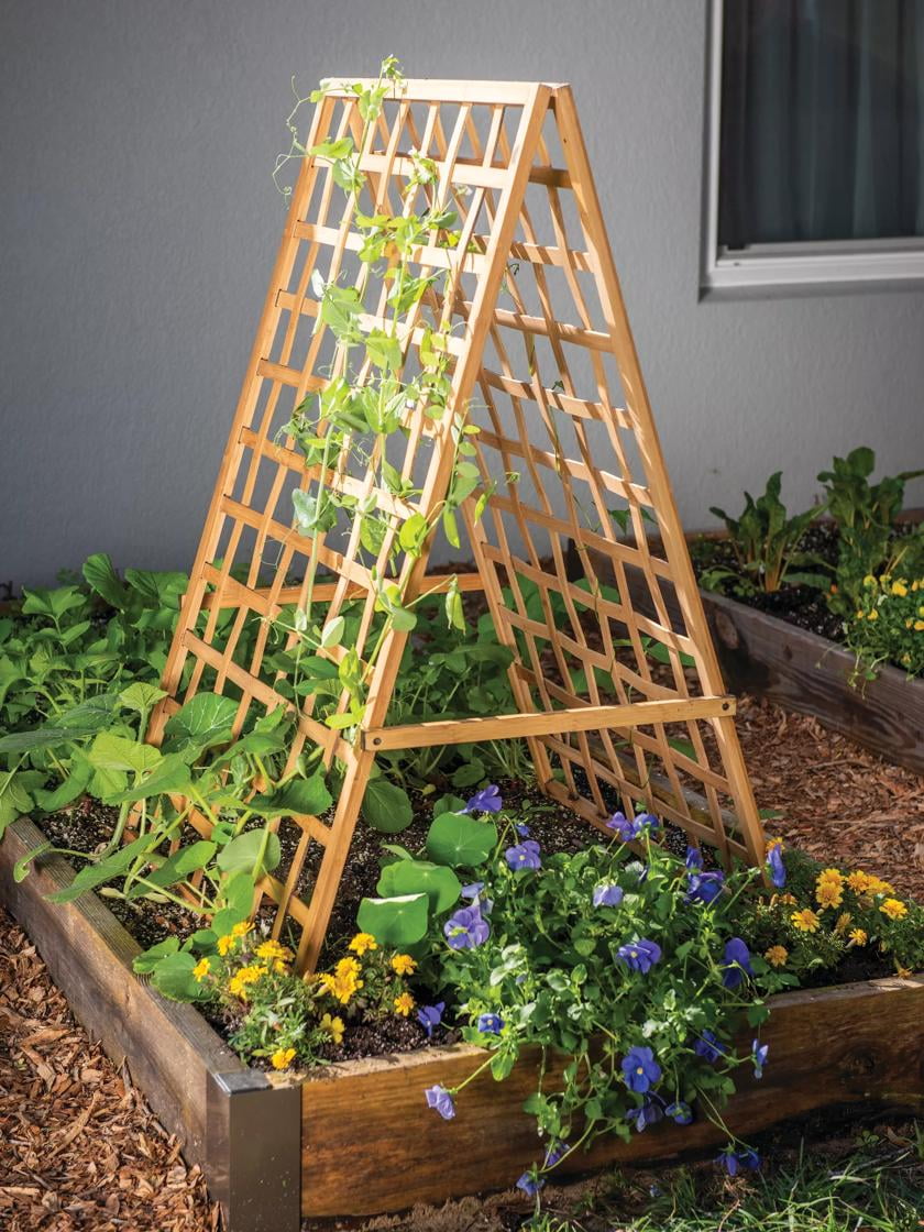 Bamboo A Frame Plant Support 30in x 42.5in - Walmart.com