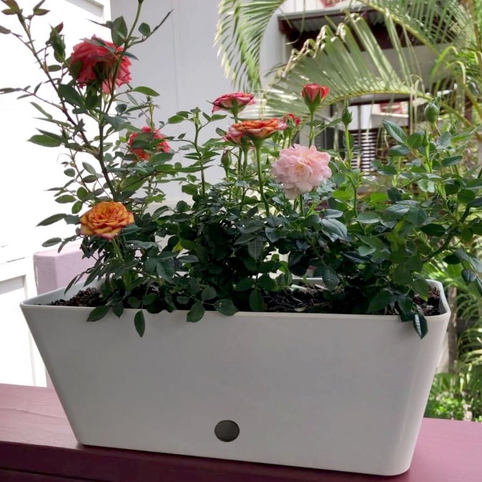 Bamboo Blooms 16" Cream Rectangular Self-Watering Bamboo Planter ...