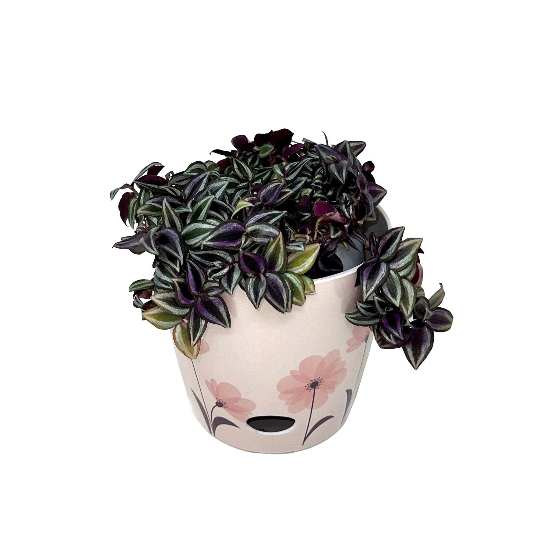 Bamboo Blooms 7" Round Self-Watering Indoor/Outdoor Bamboo Pots Pink ...