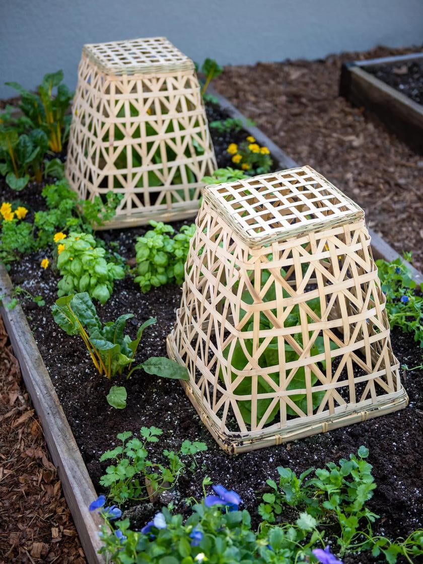 Bamboo Cloche Set of 2 - Walmart.com