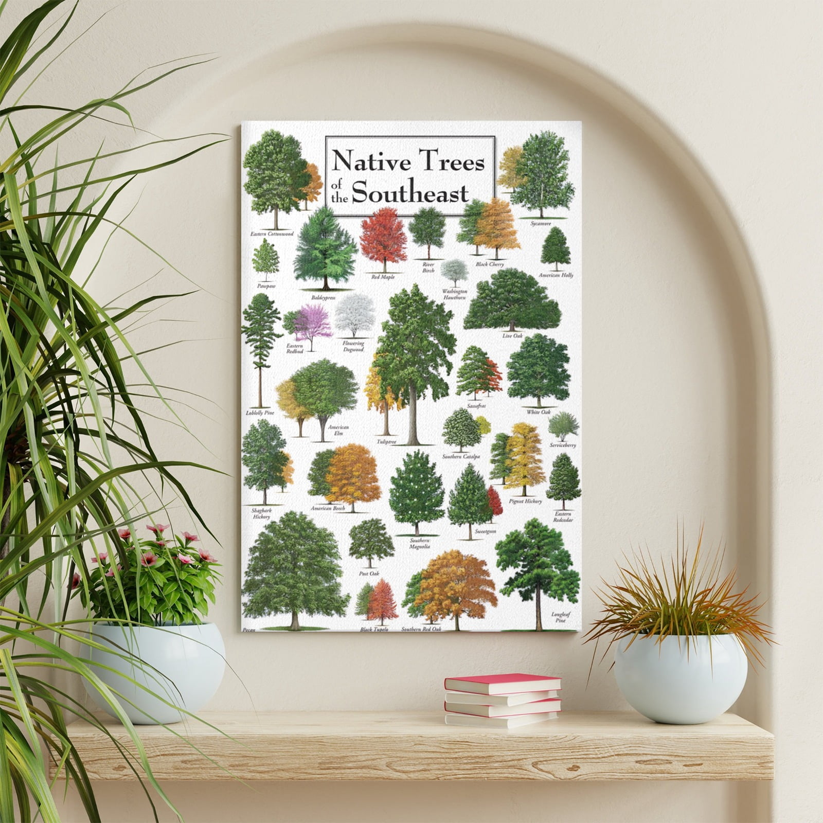 Bamboo Earth Sky + Water - Native Trees of the Southeast - Poster ...
