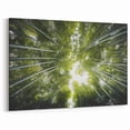 Bamboo Forest Photography Print — Zen Nature Wall Art for Living Room ...