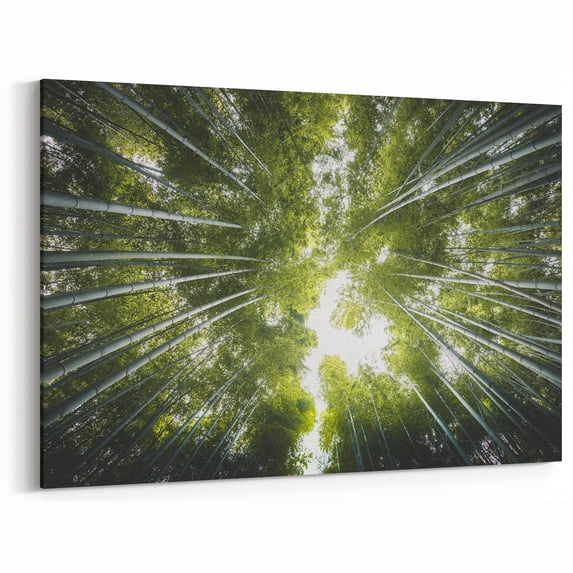 Bamboo Forest Photography Print — Zen Nature Wall Art for Living Room ...