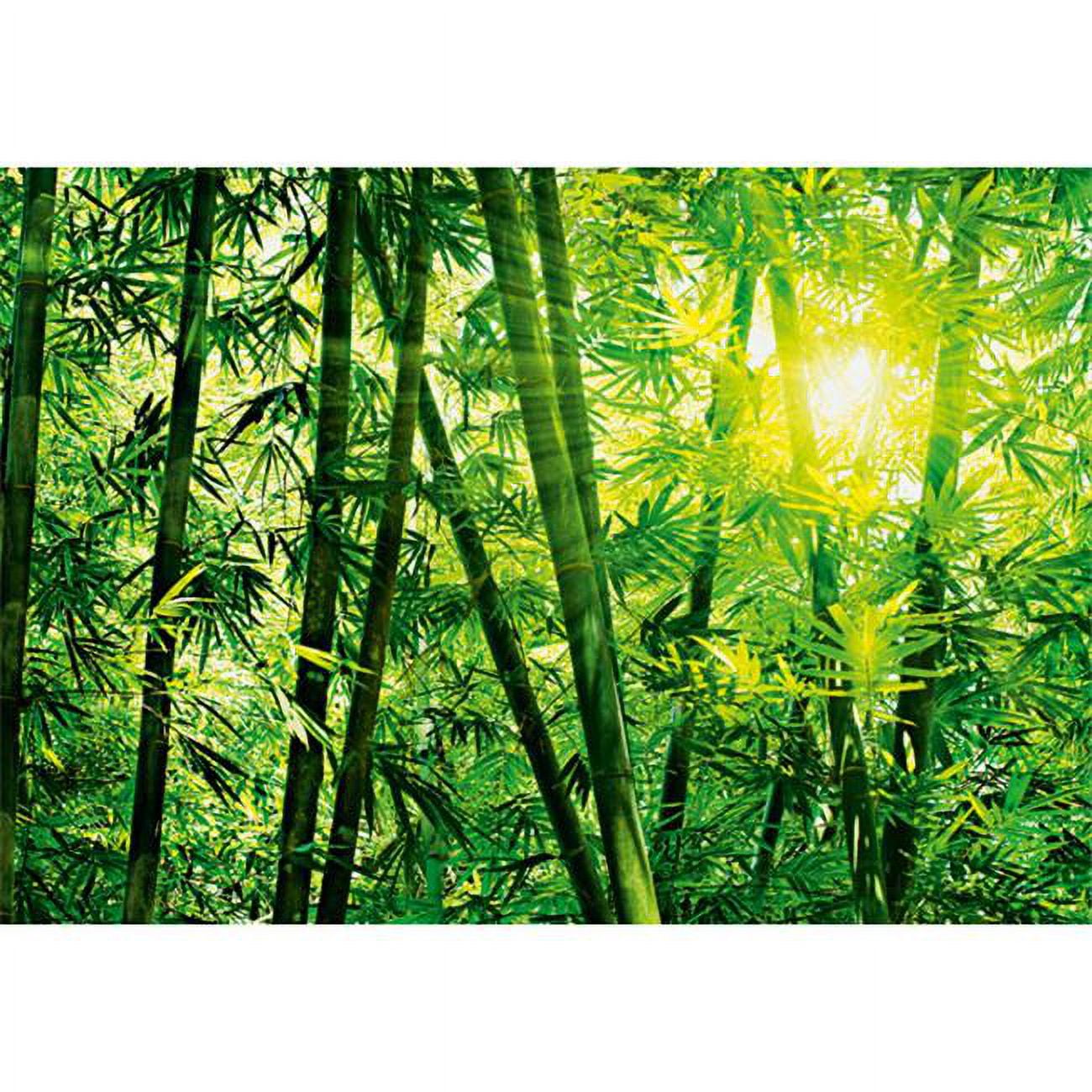 Bamboo Forest Wall Mural - 100 in. - Walmart.com