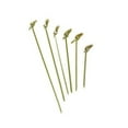 Bamboo Knot Pick Looped Skewer Case of 100, PacknWood - Biodegradable ...
