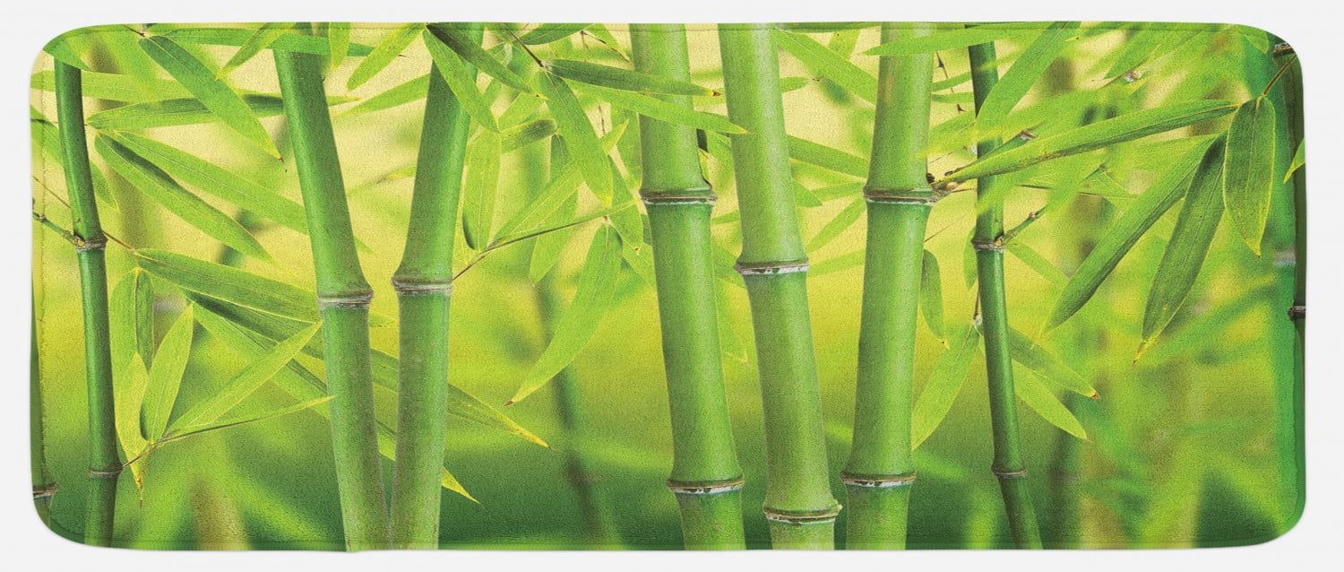 Bamboo Print Kitchen Mat, Close up of Bamboo Sprouts Stems Nature in ...