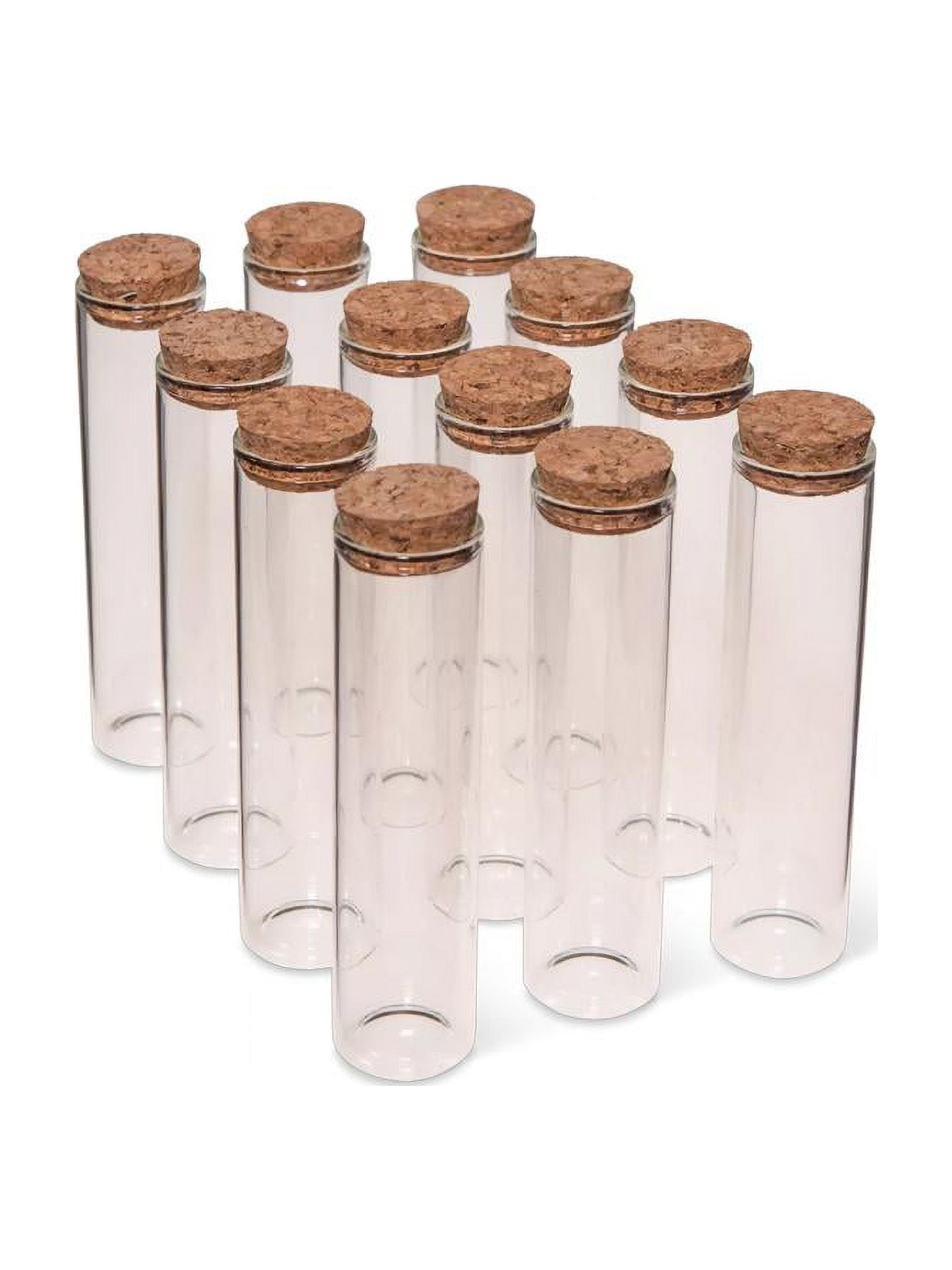 Bamboo Seed Saver Large Glass Vials Set of 12 - Walmart.com