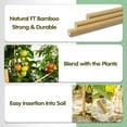 Bamboo Stakes,4FT Natural Bamboo Garden Stakes, 25Pcs Plant Stakes ...