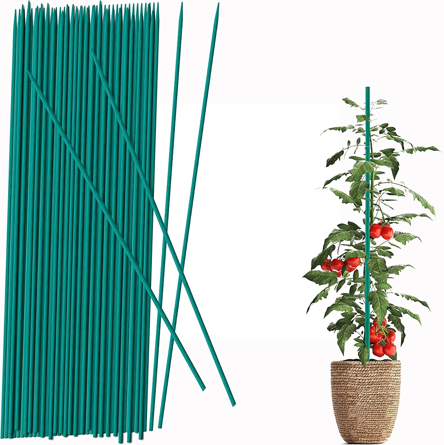 Bamboo Sticks Plant Stakes, Happon 50 Pack Green Plant Support Sticks ...