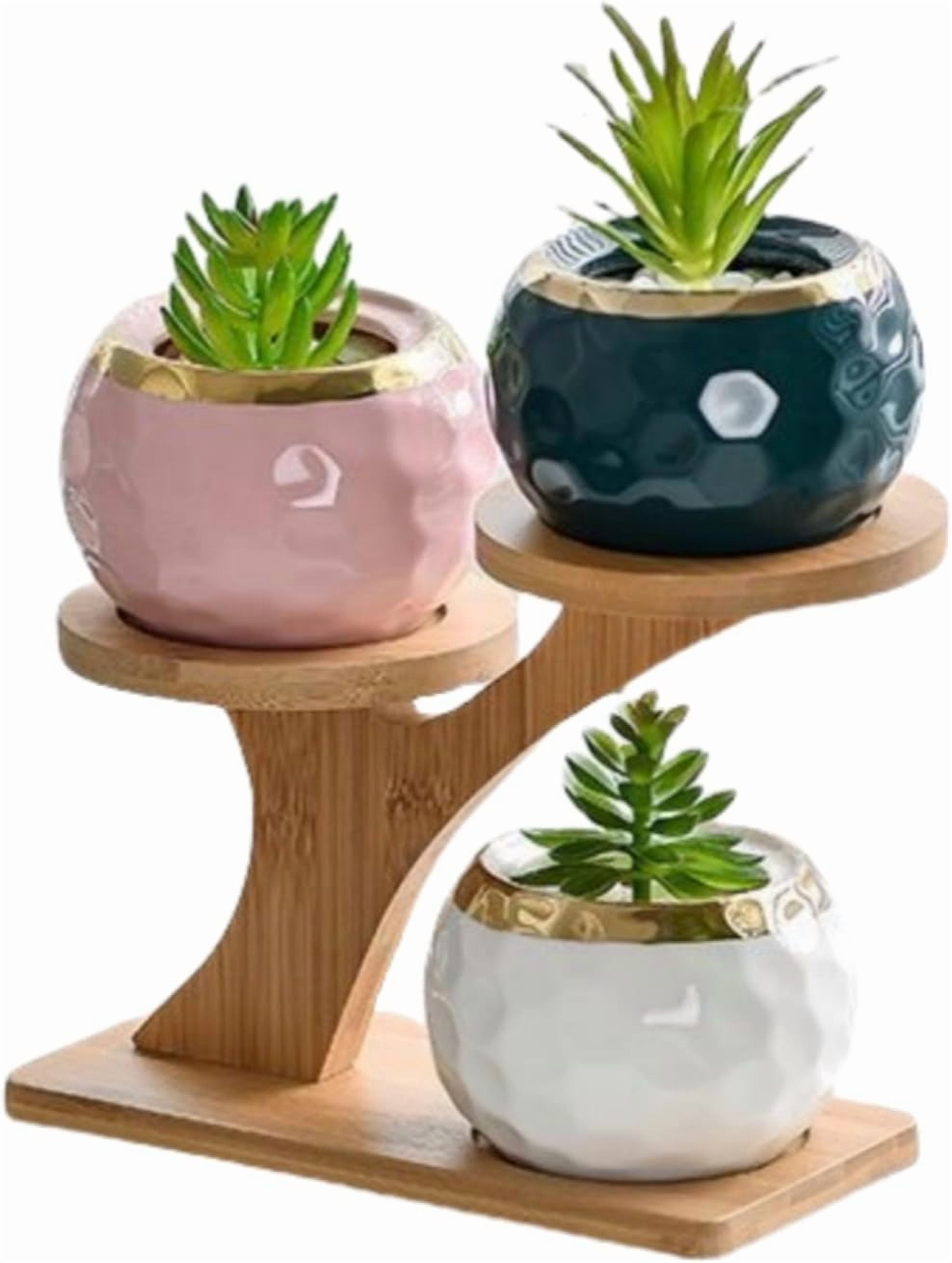 Bamboo Tabletop Plant Stand for Small Succulents, Indoor Windowsill ...