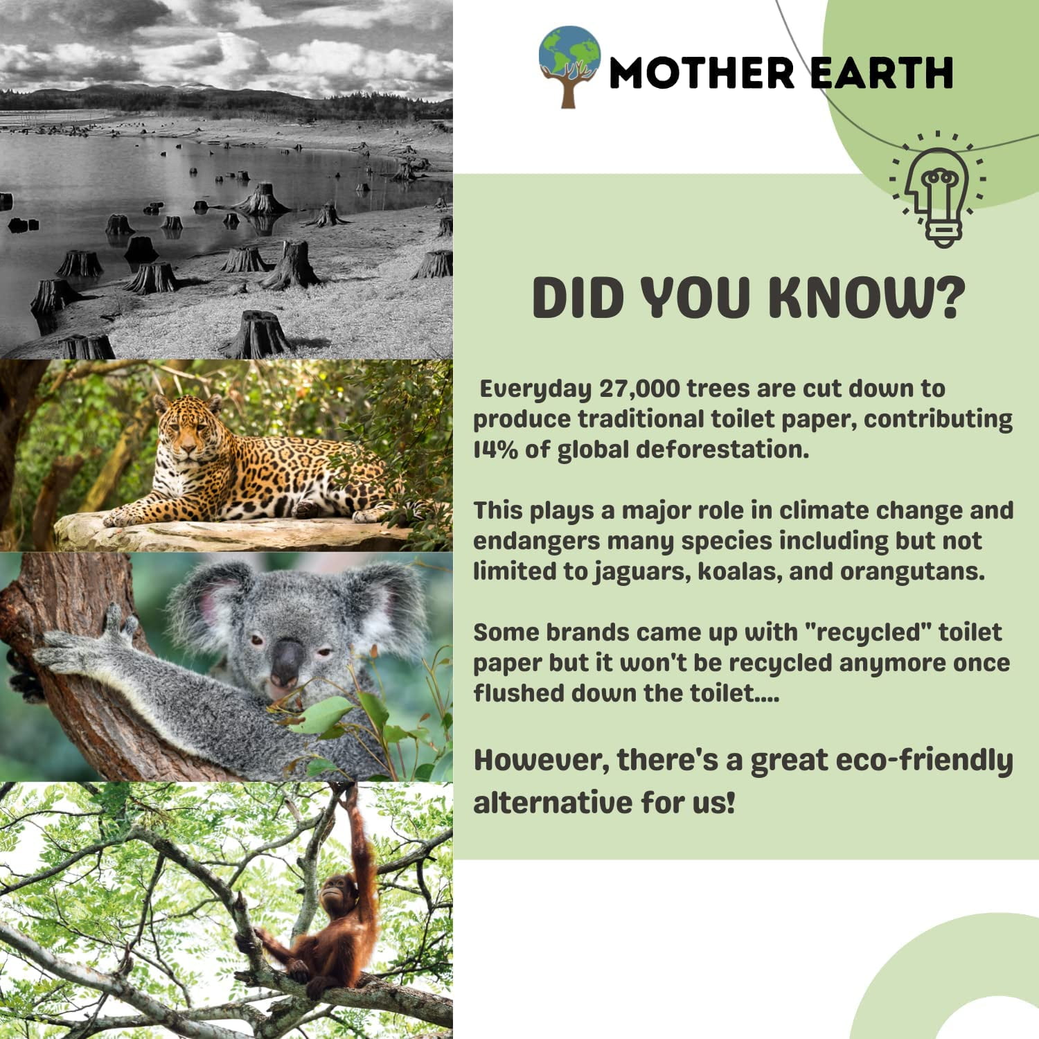 Bamboo Toilet Paper - Ultra Soft & Strong 3-Ply Bath Tissue, 400 Sheets ...