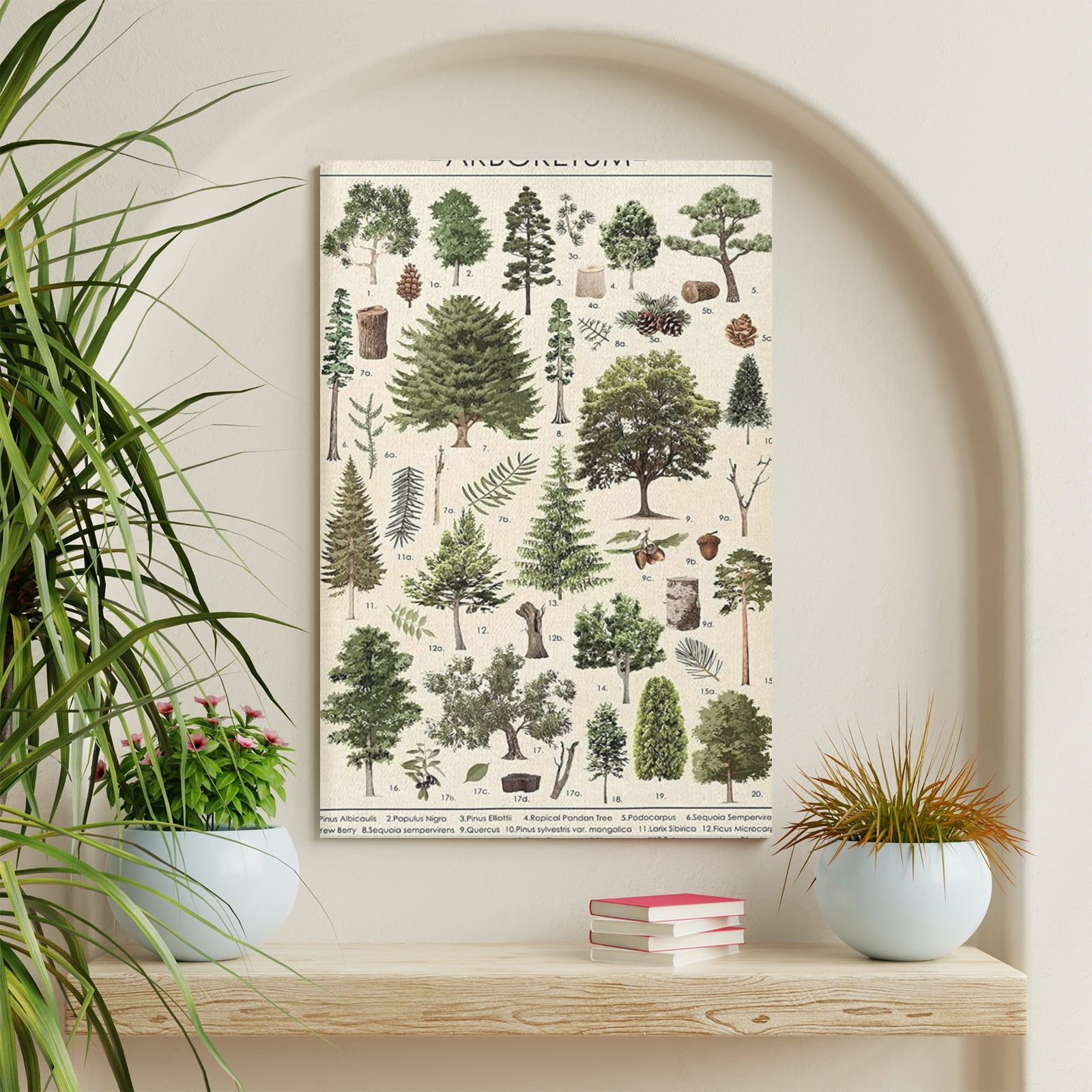 Bamboo Vintage Tree Plant Wall Art - Botanical Arboretum Illustrative ...