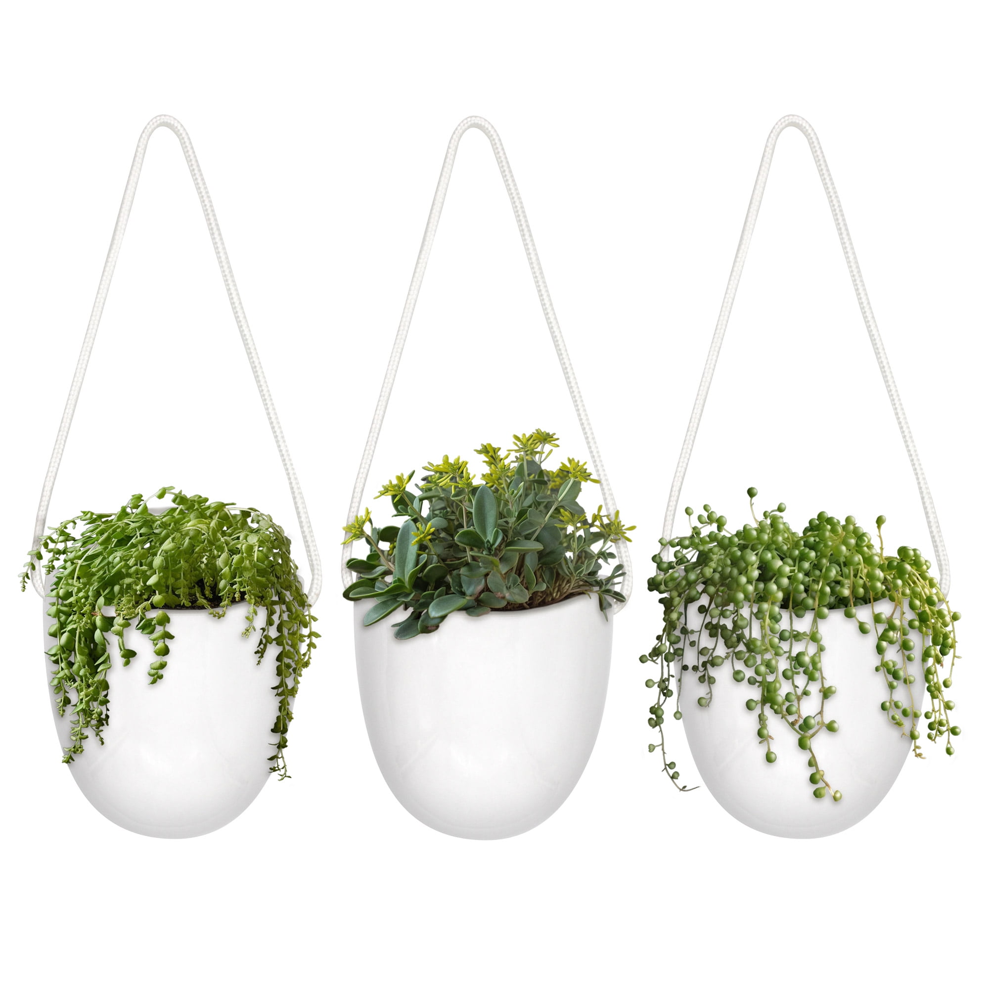 BambooMN Ceramic Succulent Pots - 3 Pots - Bucket Shape - with Ropes ...