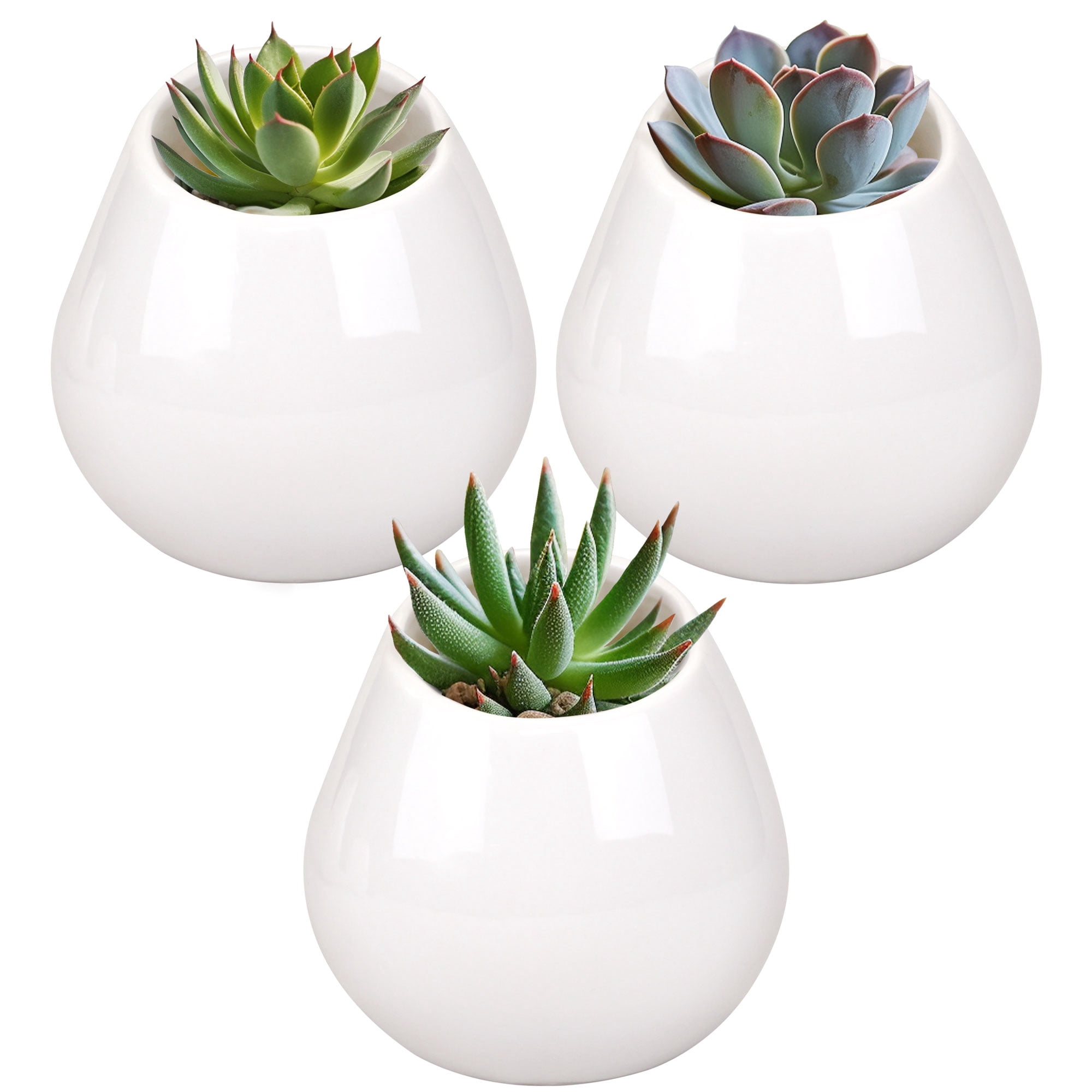 BambooMN Ceramic Succulent Pots - 3 Wall-Mounted Planters - Tear Shape ...