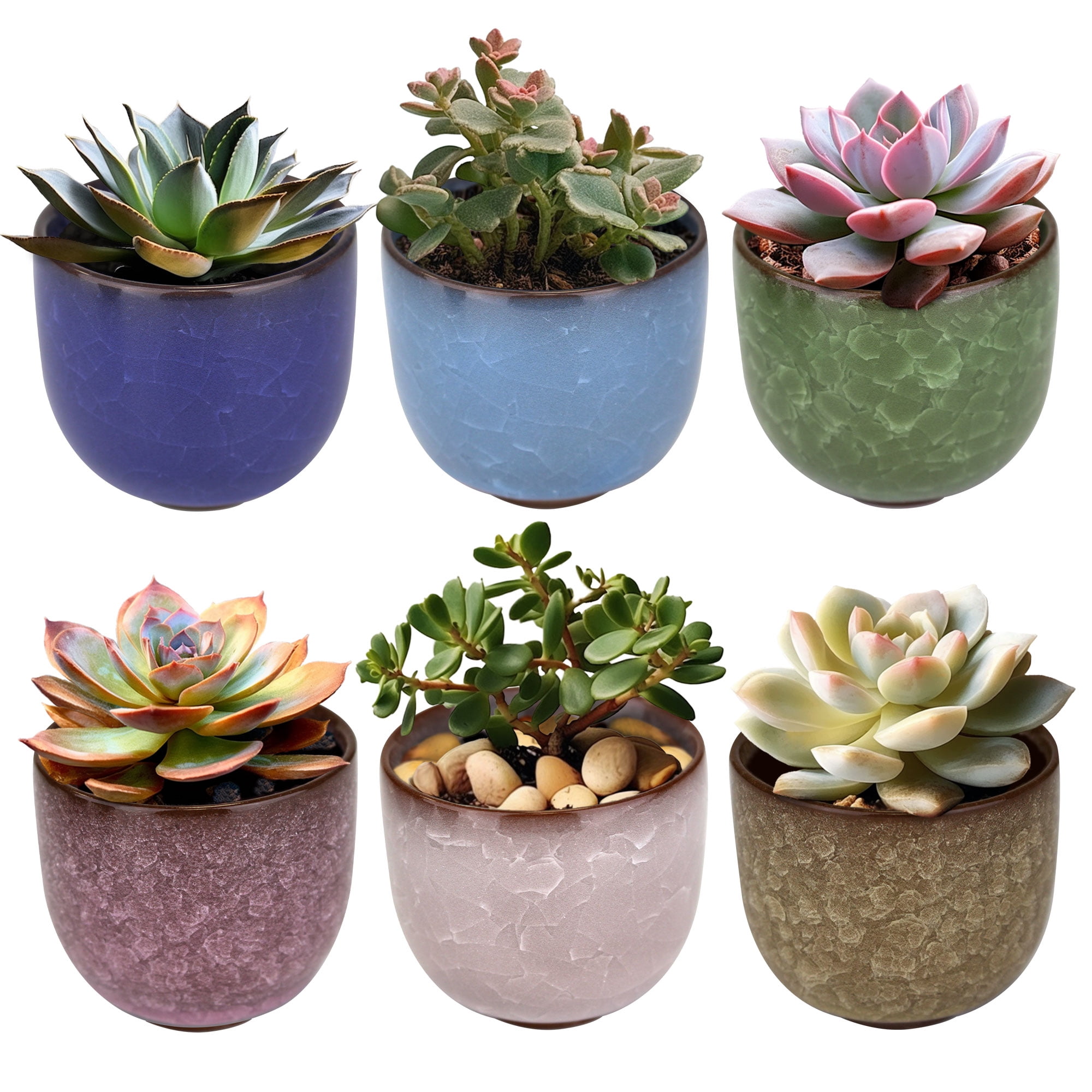 BambooMN Ice Crack Succulent Pots - 6 Pots - Medium Round - Assorted ...