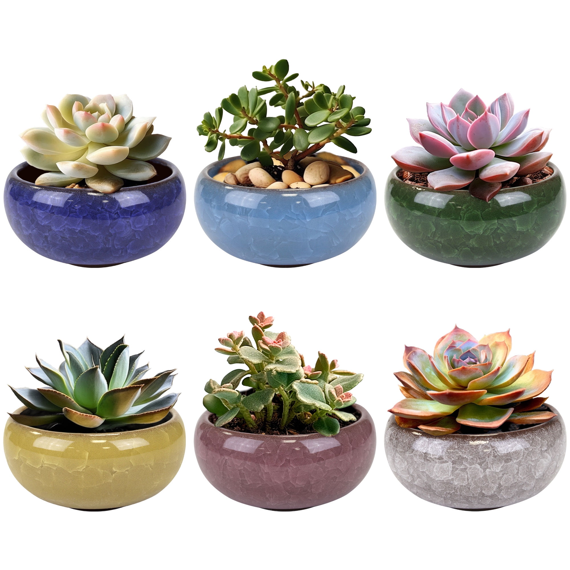 BambooMN Ice Crack Succulent Pots - 6 Pots - Small Round - Assorted ...