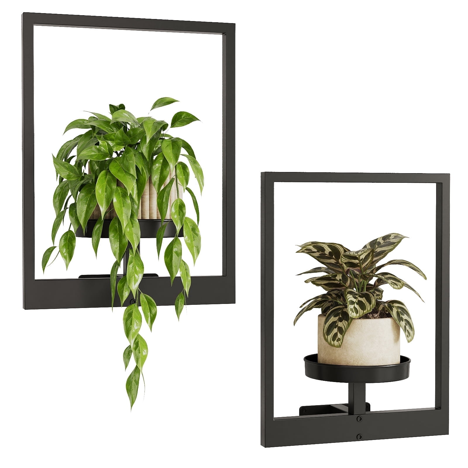 Bamworld Plant Shelf Indoor Wall mounted display stand window sill ...