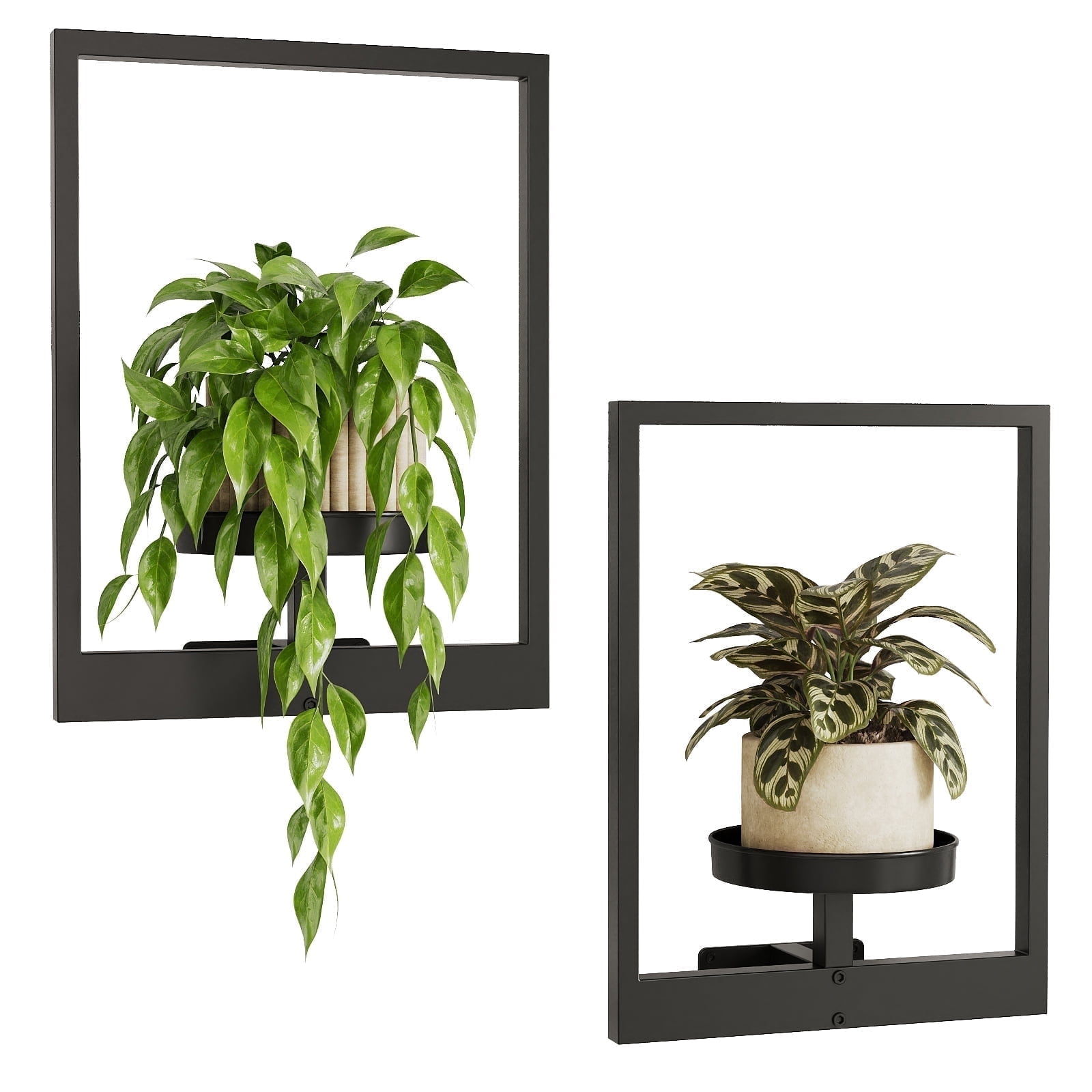 Bamworld Indoor Hanging Plant Stand, Wall Mounted Plant Holder ...