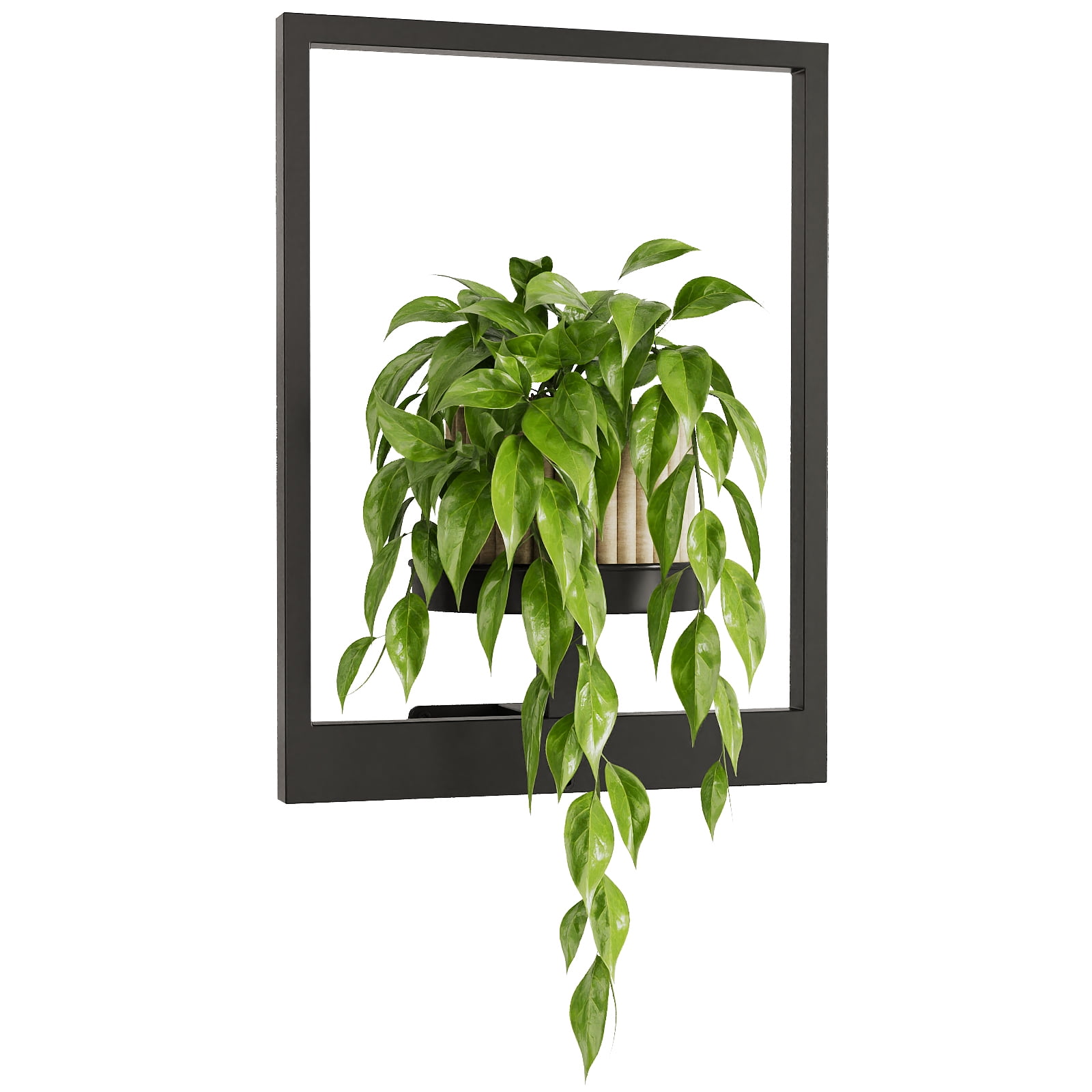 Bamworld Wall Hanging Planters for Indoor Plants Plant Hanger Indoor ...