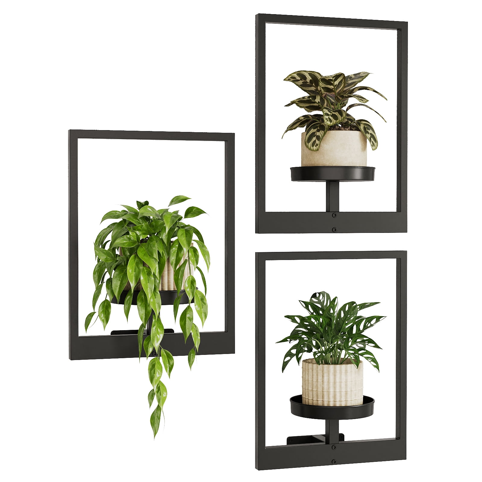Bamworld Plant Stand Wall Hanging Planters for Indoor Plants Plant ...