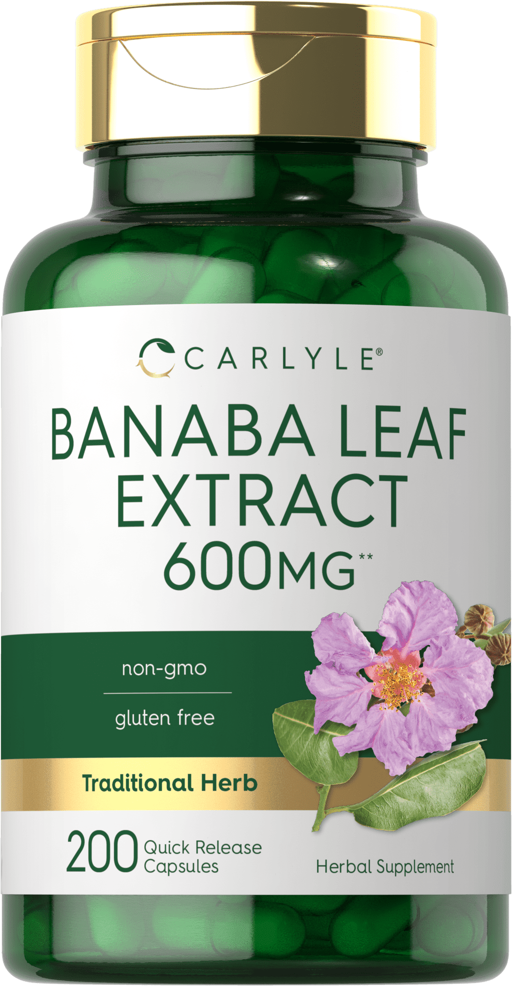 Carlyle Banaba Leaf Extract 600mg, 200 Quick-Release Capsules ...