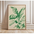 Banana Leaf Poster Tropical Botanical Wall Art Minimal Green Line ...
