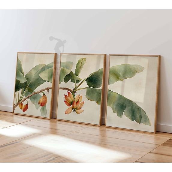 Banana Leaf Tropical Botanical Wall Art Set 3 Unframed Paper Print ...