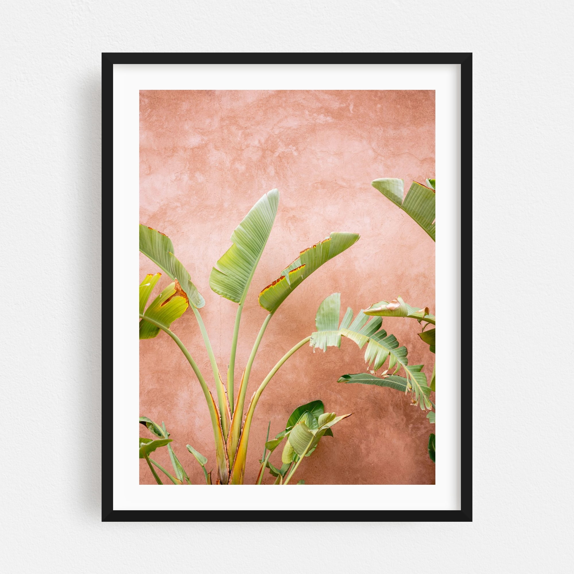 Banana Leaves - Morocco Photography Botanical Tropical Nature ...