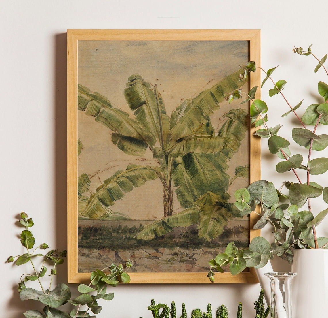 Banana Tree Poster, Antique Botanical Illustration Poster, Botany Art ...