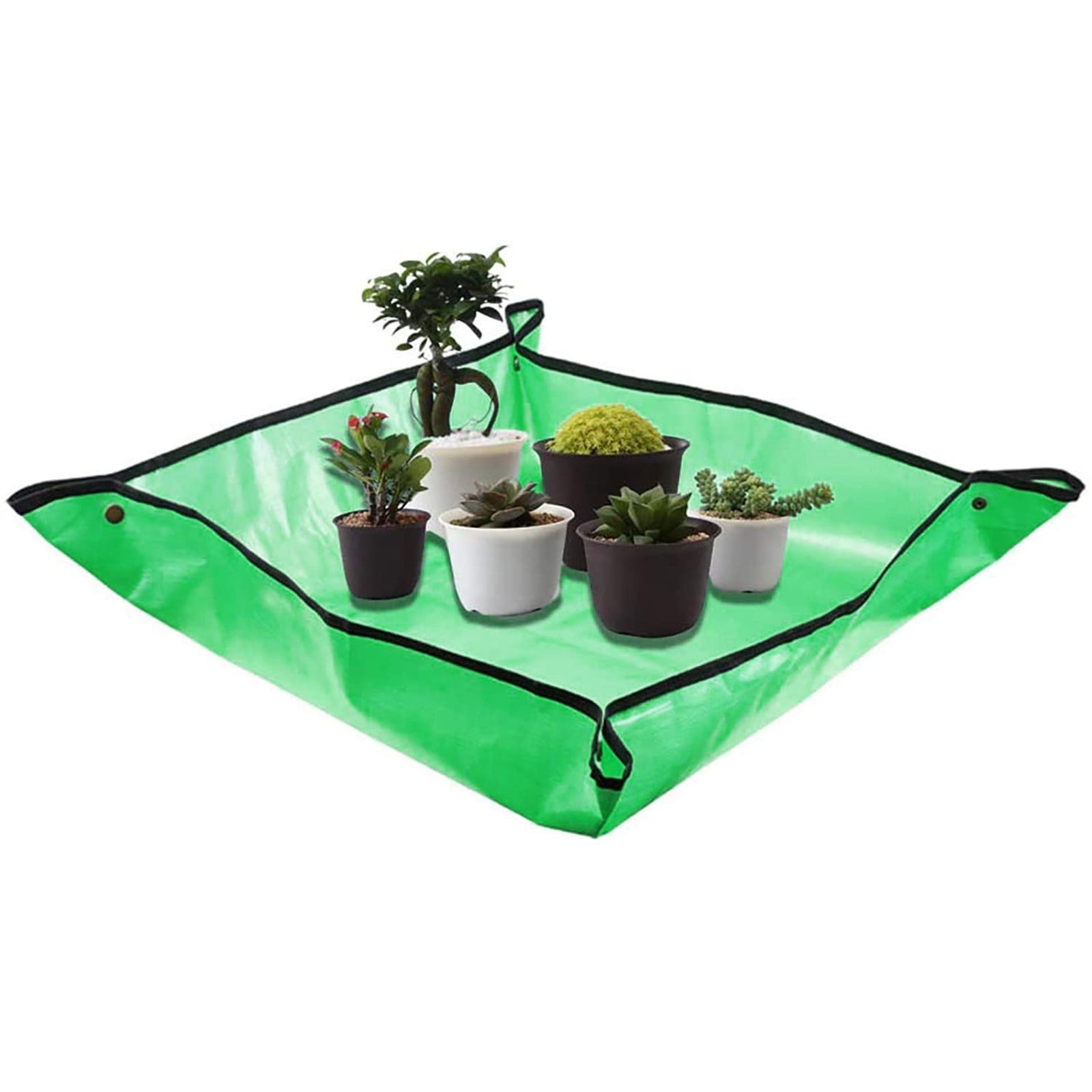 Banana Trees Live Transplanting Repotting Mat Foldable Garden Work ...