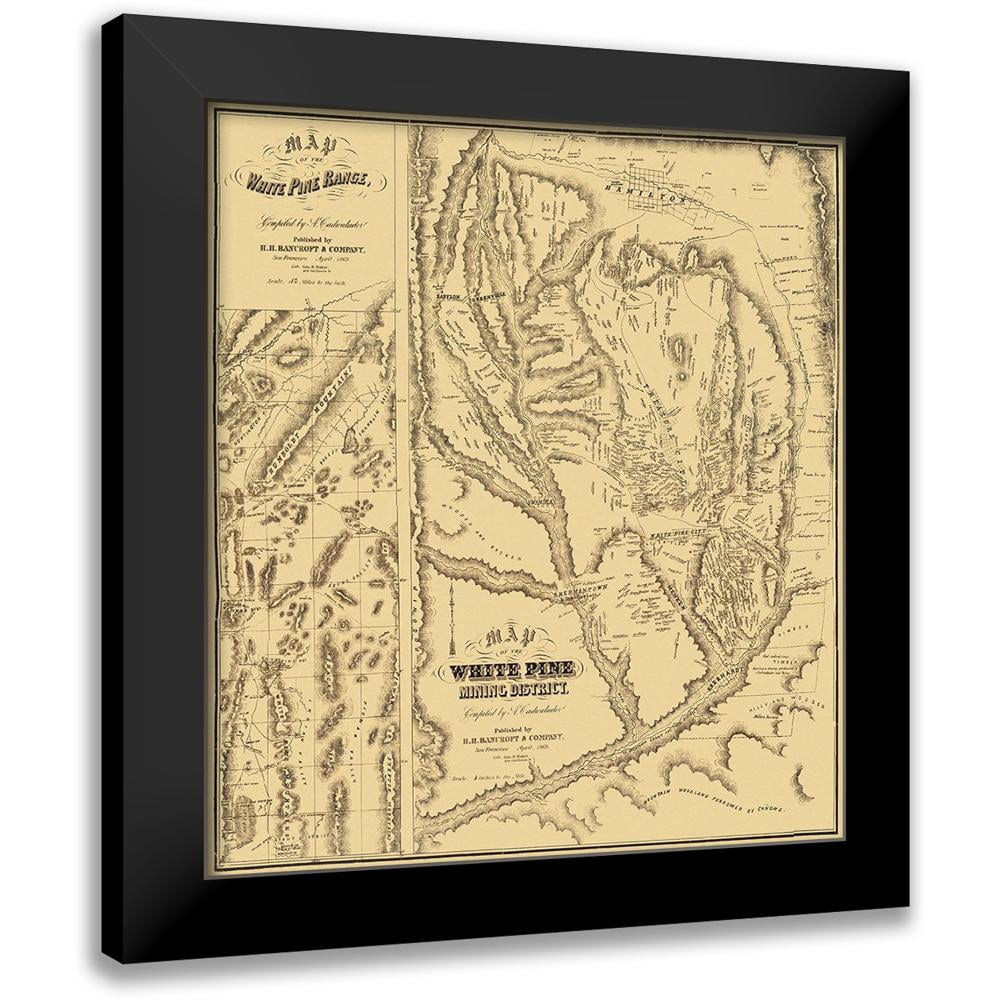 Bancroft 15x16 Black Modern Framed Museum Art Print Titled - White Pine ...