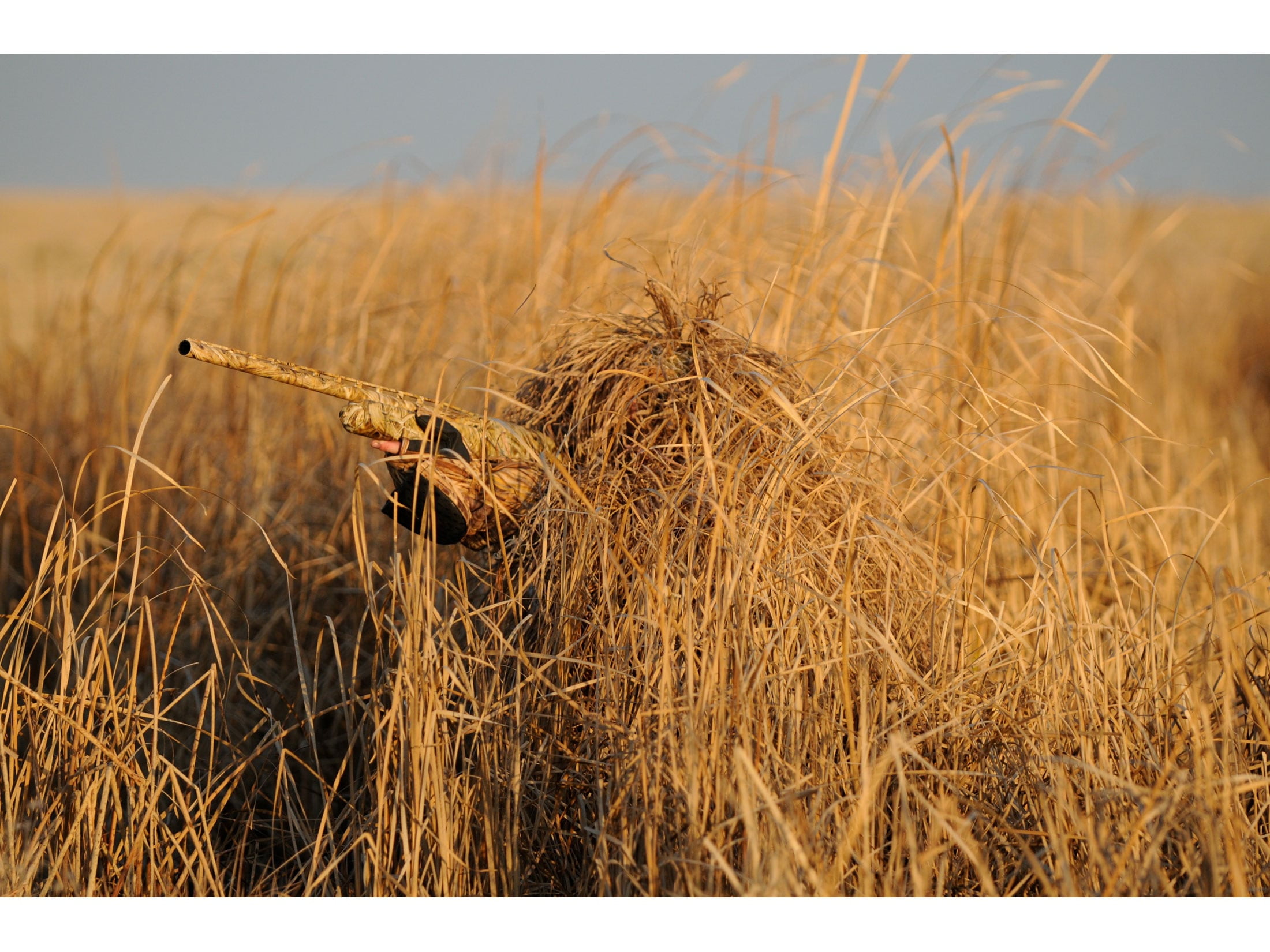Avery KillerWeed Blind Material Cattail Slough - Walmart.com