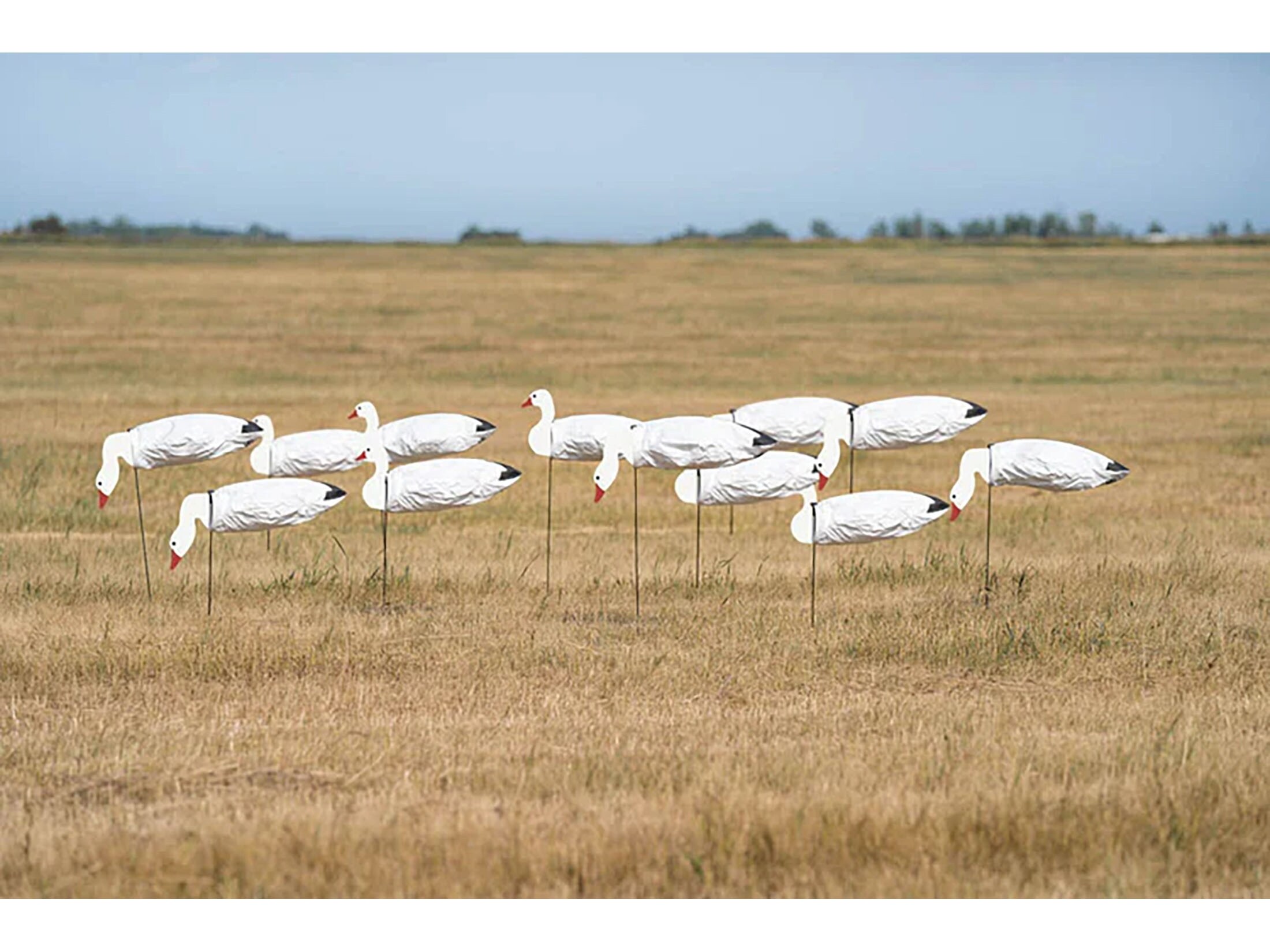 Banded Gear GHG Pro Grade WindSock Decoys Regular Snow Goose with Heads ...