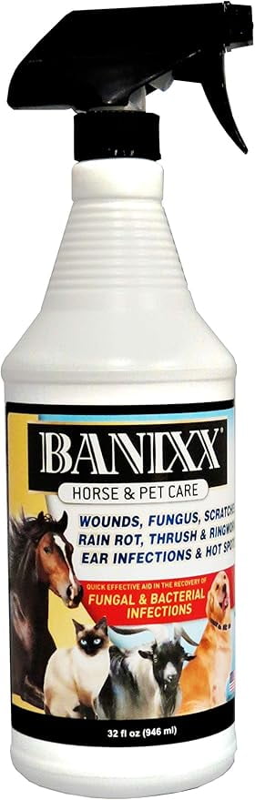 Banixx Horse and Pet Care for Fungal and Bacterial infections 32oz ...