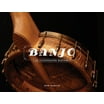 Banjo : An Illustrated History (Hardcover) - Walmart.com