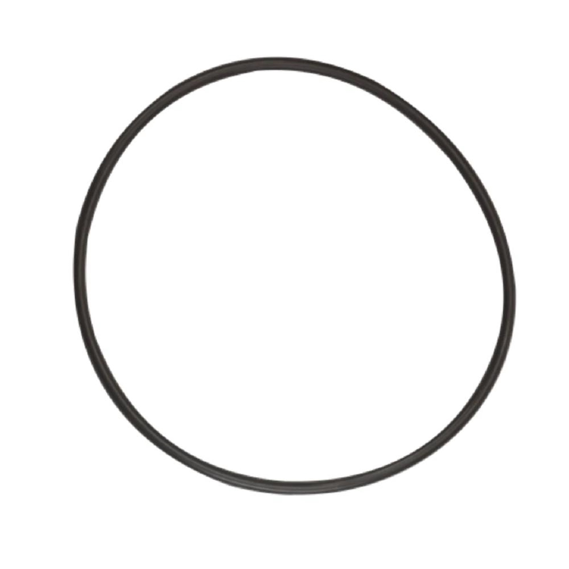 Banjo FKM Cap Gasket for 3 Inch Y Strainers - MLS300GV - Walmart.com