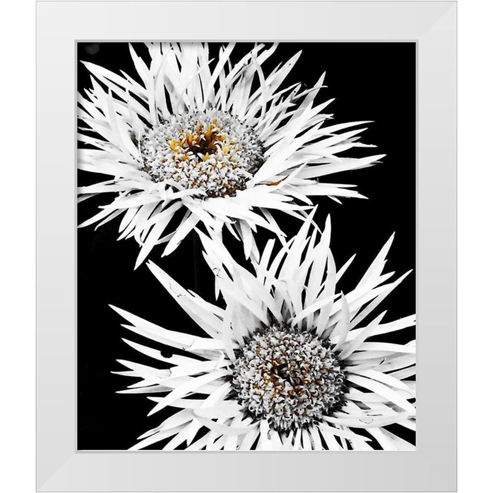 Bannon, Heidi 20x23 White Modern Wood Framed Museum Art Print Titled ...
