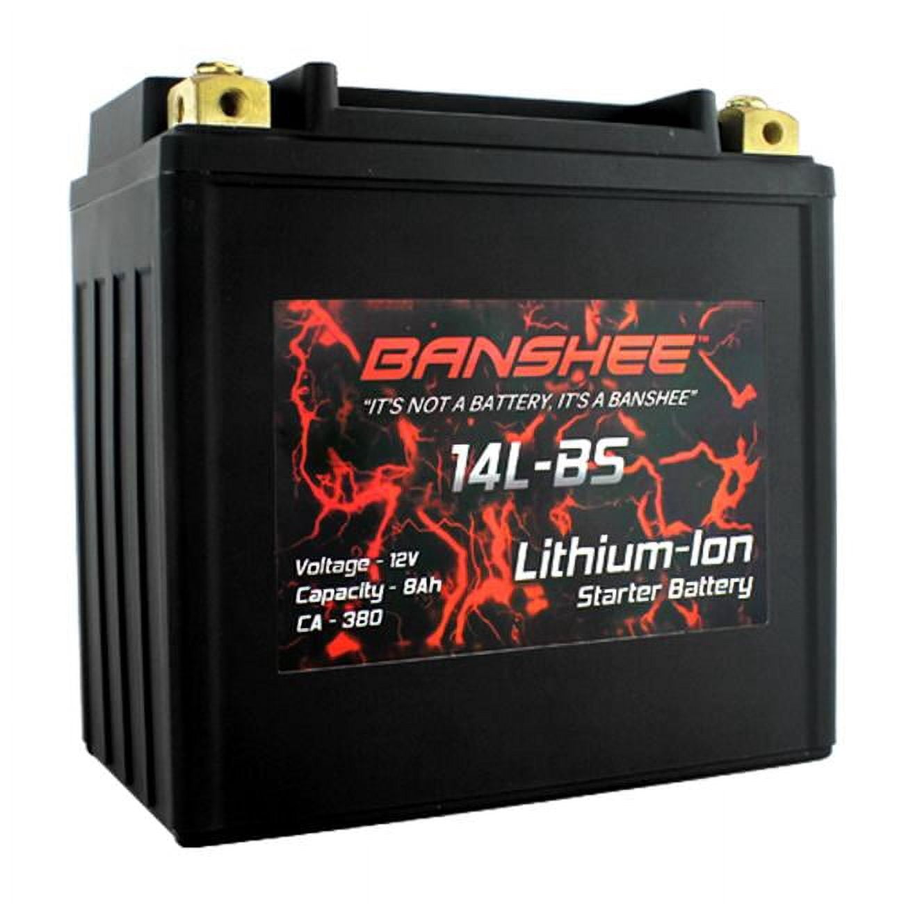Banshee DLFP14L-BS Lithium-Ion Motorcycle Battery Replaces 65958-04 ...