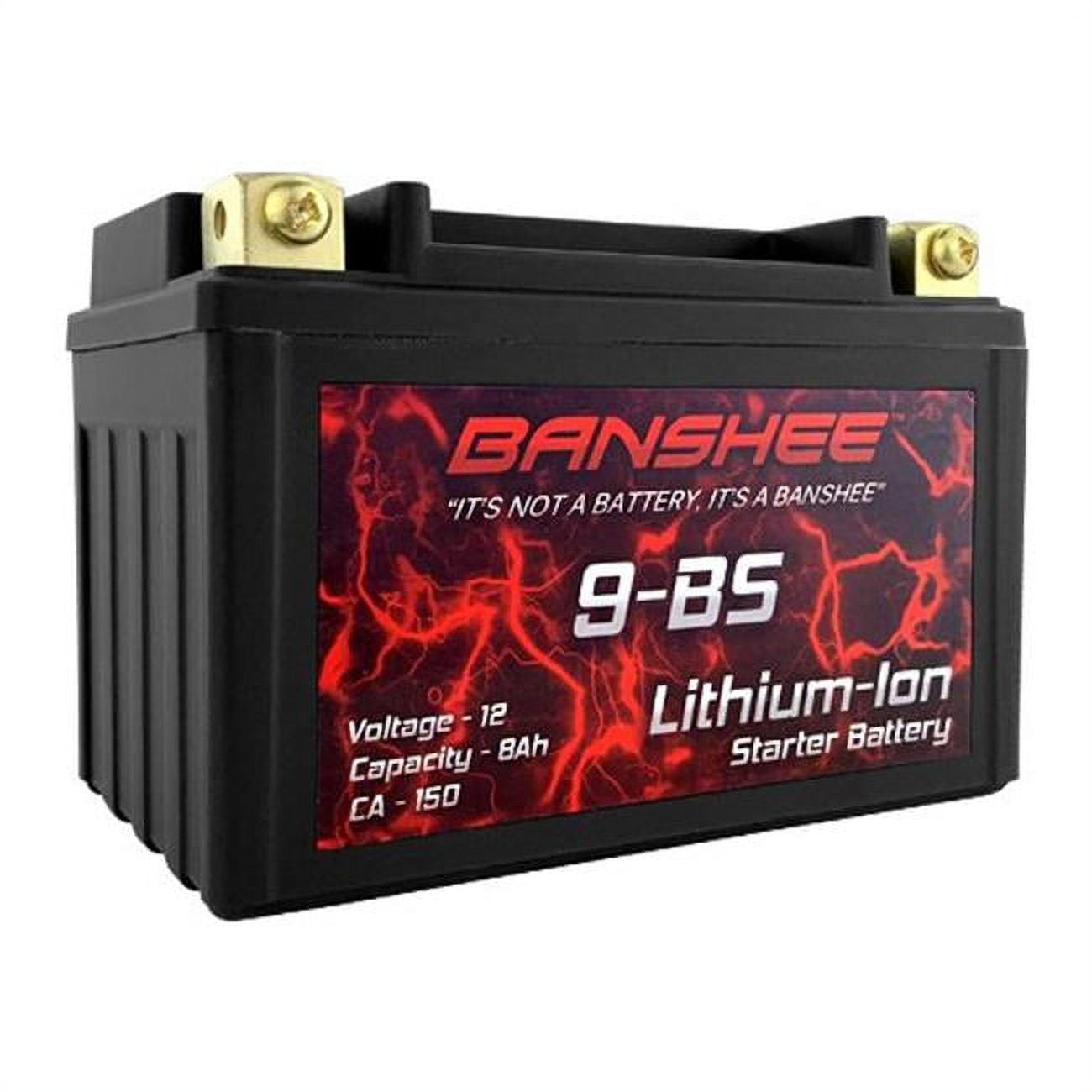 Banshee DLFP9-BS-CS3 12.8V Lithium Battery for Replacement SHORAI ...