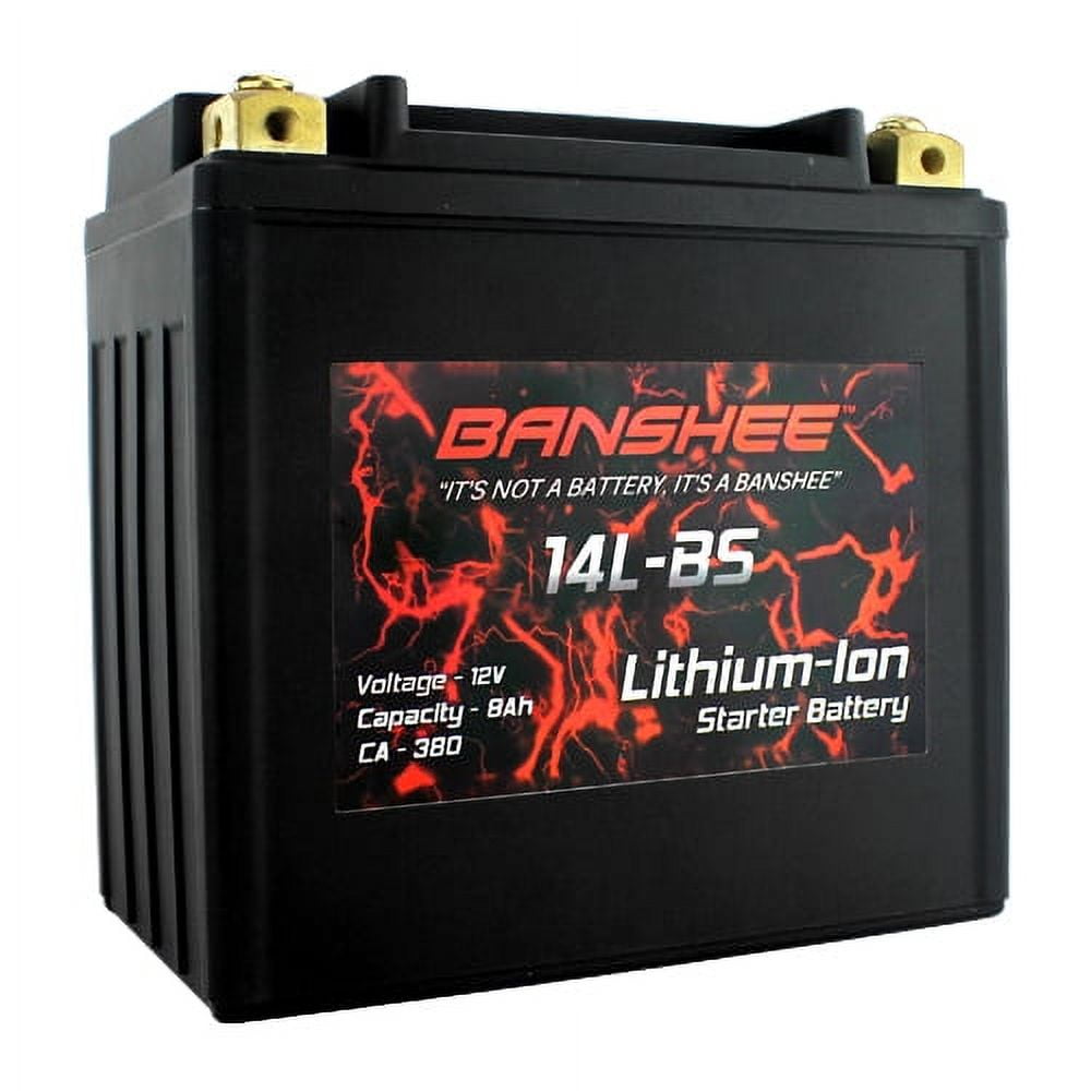 Banshee Lithium LiFePO4 14L-BS Sealed Motorcycle Battery - Walmart.com