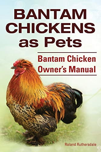 Pre-Owned Bantam Chickens. Bantam Chickens as Pets. Bantam Chicken ...
