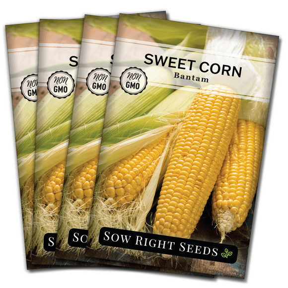 Heirloom Seeds Variety Pack