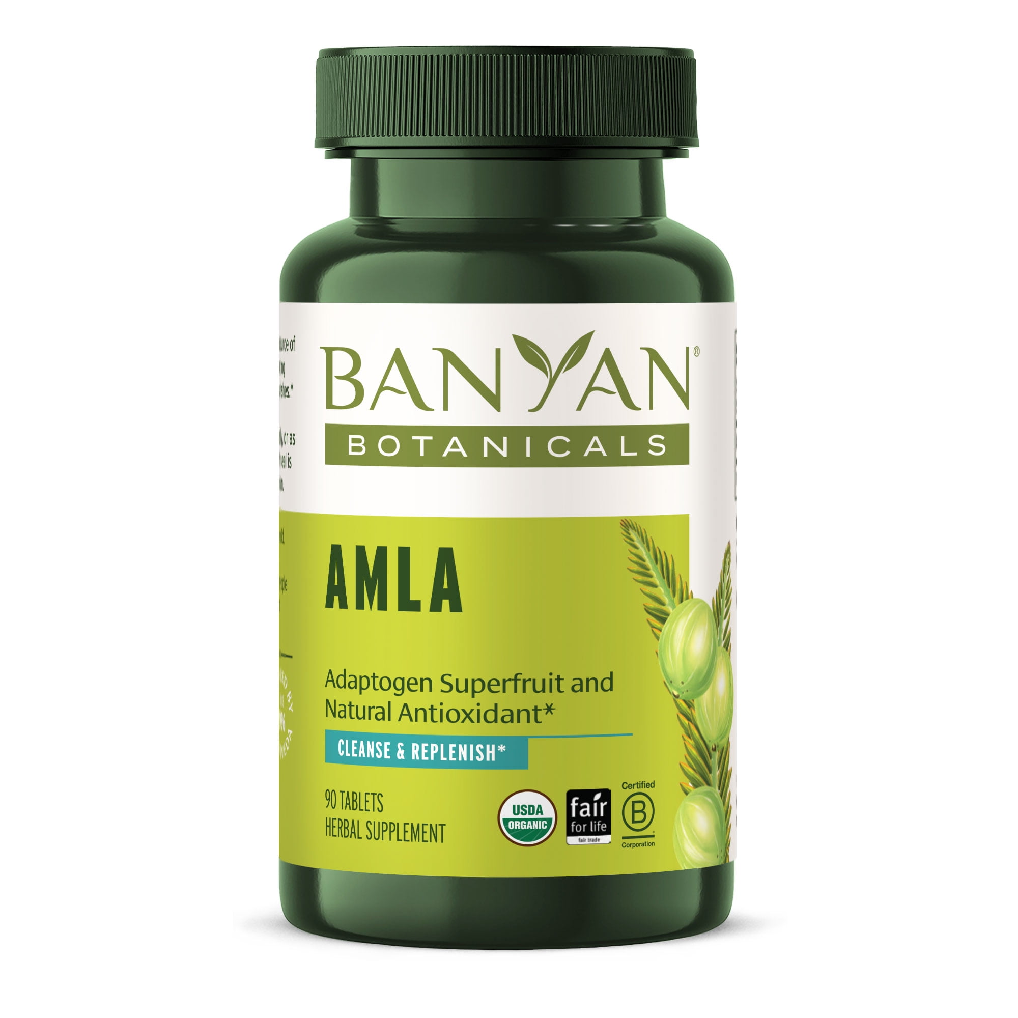 Banyan Botanicals Amla (Amalaki) Tablets – Organic Emblica Officinalis ...