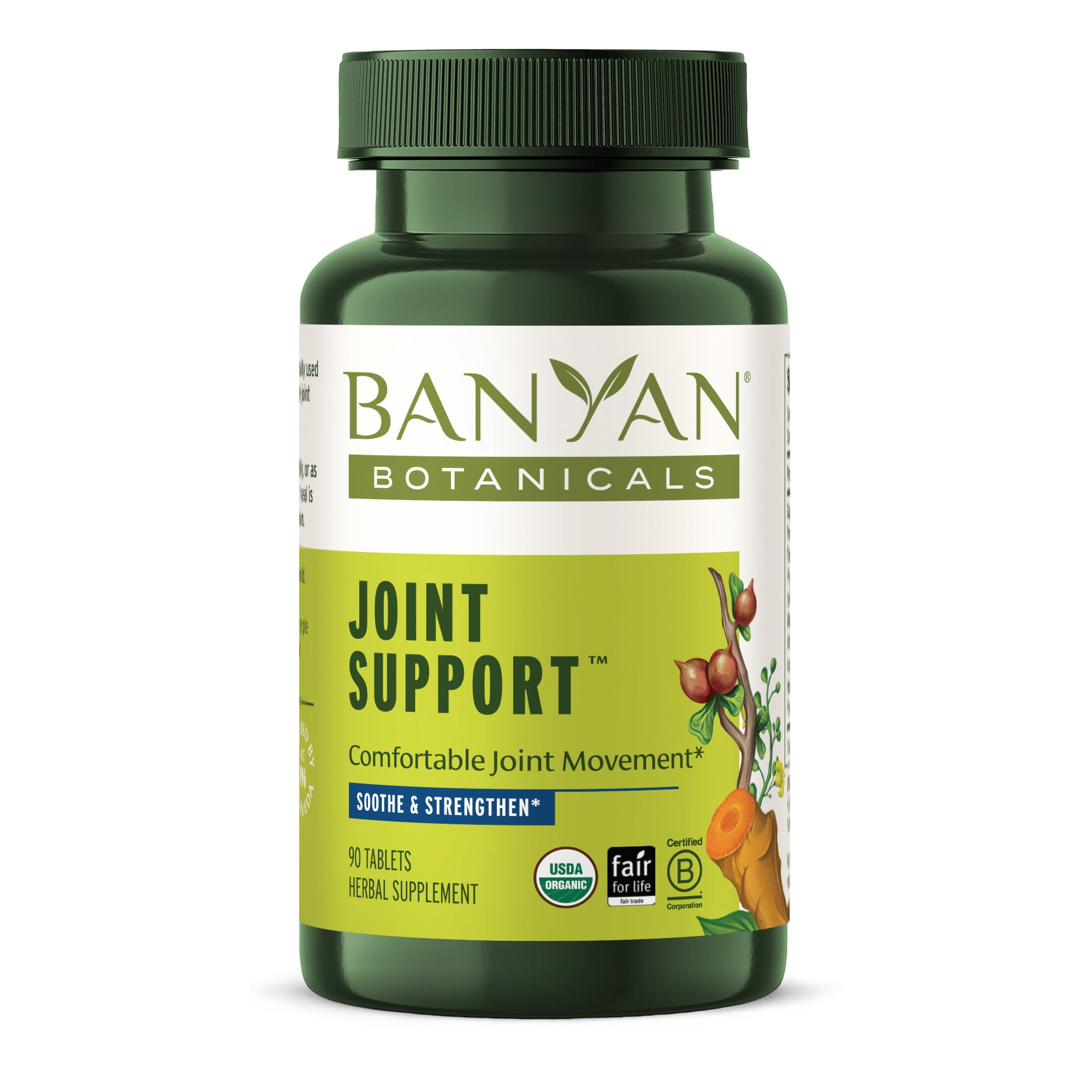 Banyan Botanicals Joint Support – Organic Joint Supplement with ...