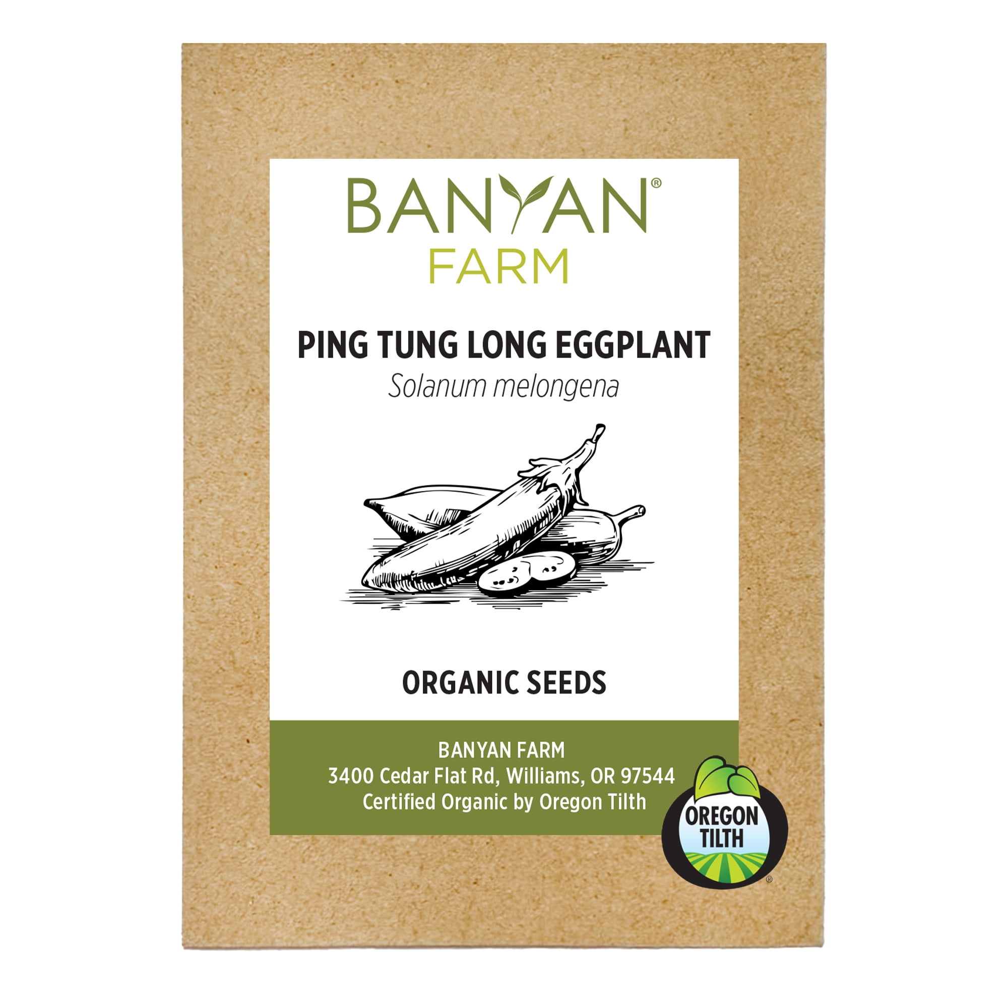 Banyan Botanicals Organic Eggplant Seeds – Ping Tung Long (Solanum ...