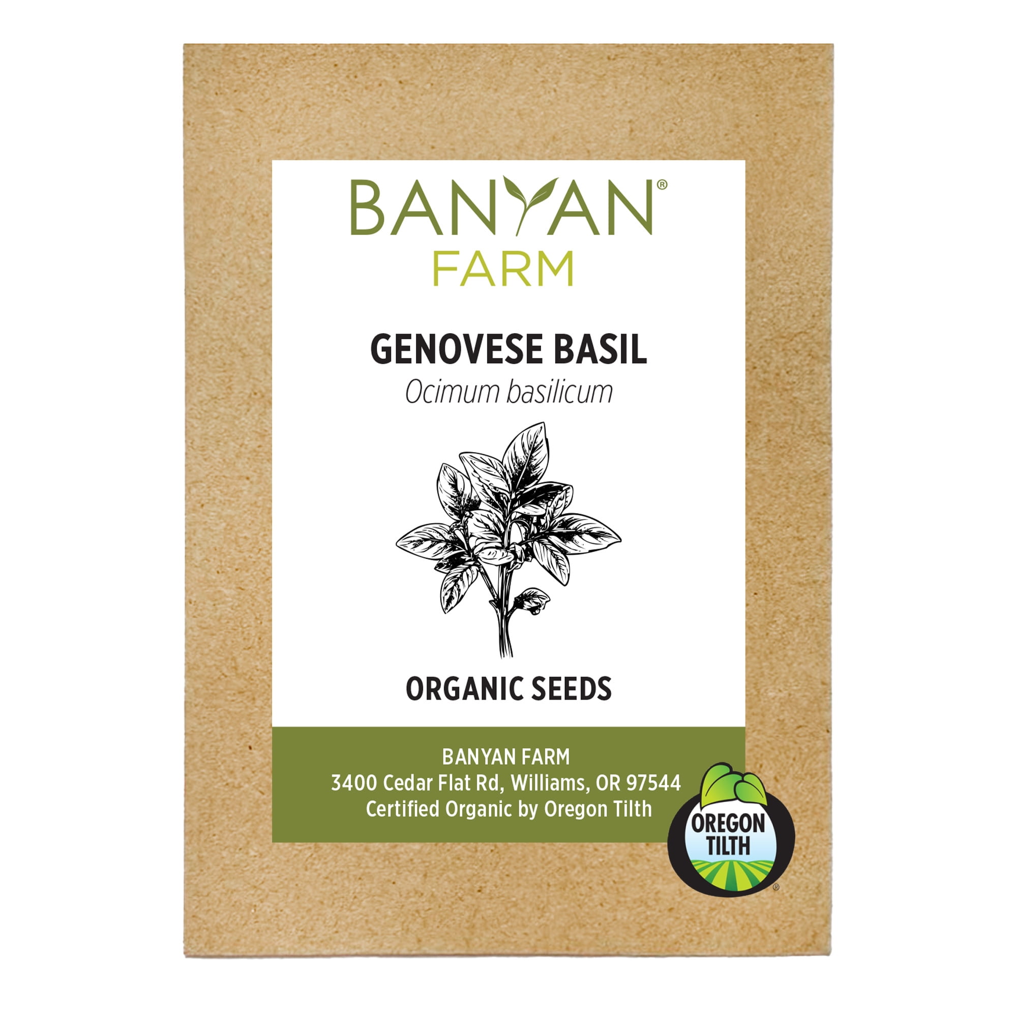 Banyan Botanicals Organic Genovese Basil Seeds – For Planting Indoors ...