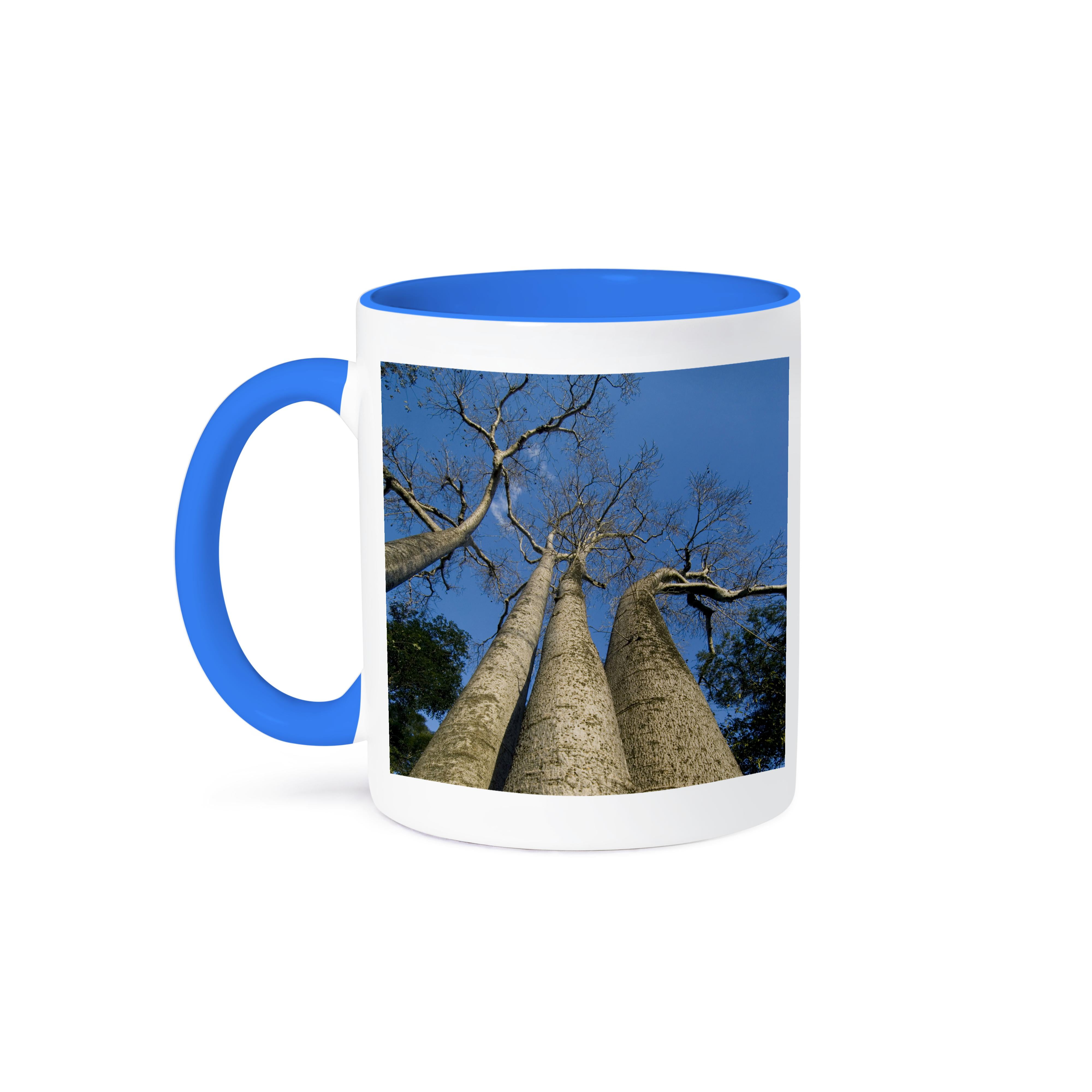 Baobab Trees, Ampijoroa-Ankarafantsika Np, Madagascar-Af24 Ksc0005 ...