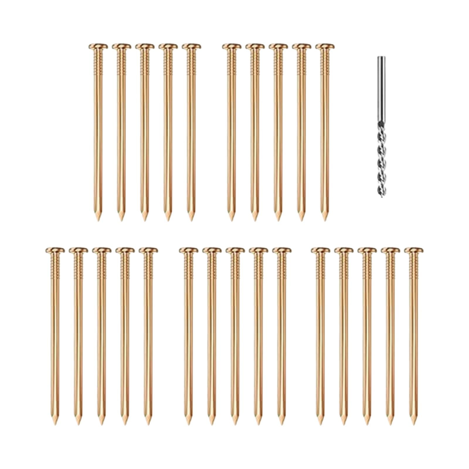 Baoblaze Copper Nails Stump for Trees Stumps Slating Roofing 26pcs ...