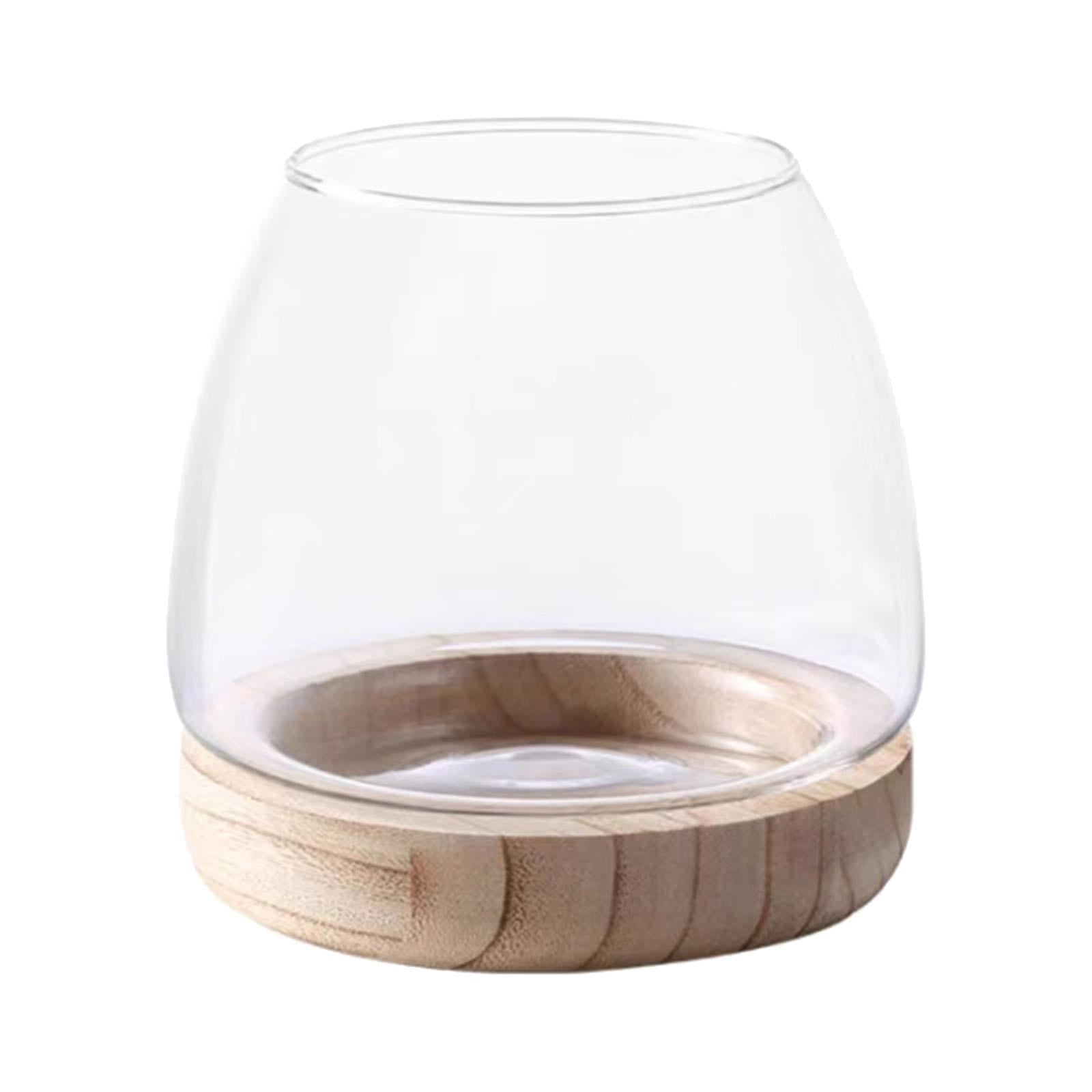 Baoblaze Glass Planter Plant Propagating Jar Plant Terrarium for Office ...